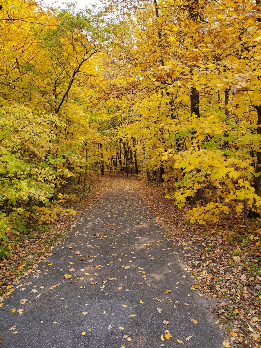 Beautiful locations for Fall Foliage in Mankato, Minnesota – Adventures ...