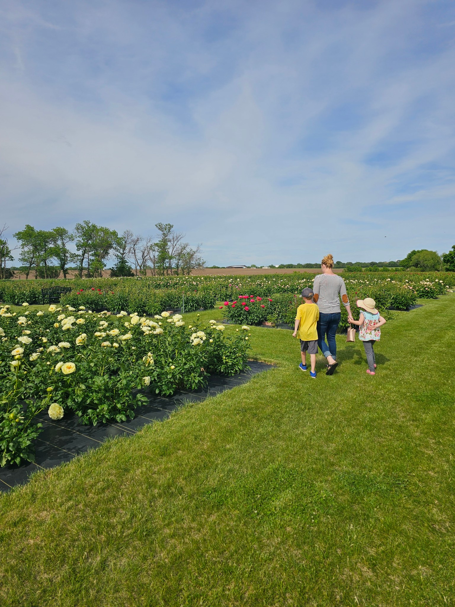 Silo Ridge Peony Farm – Adventures with Sota Mama
